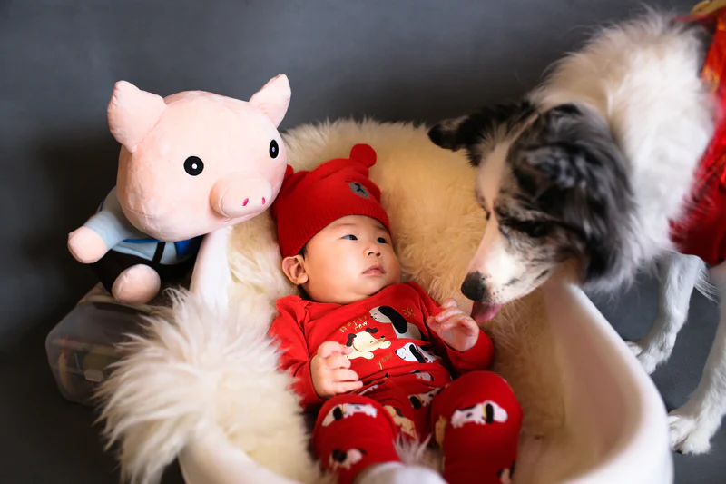 How To Keep A Healthy Lifestyle Of Pets When The New Baby Comes | Kids ...