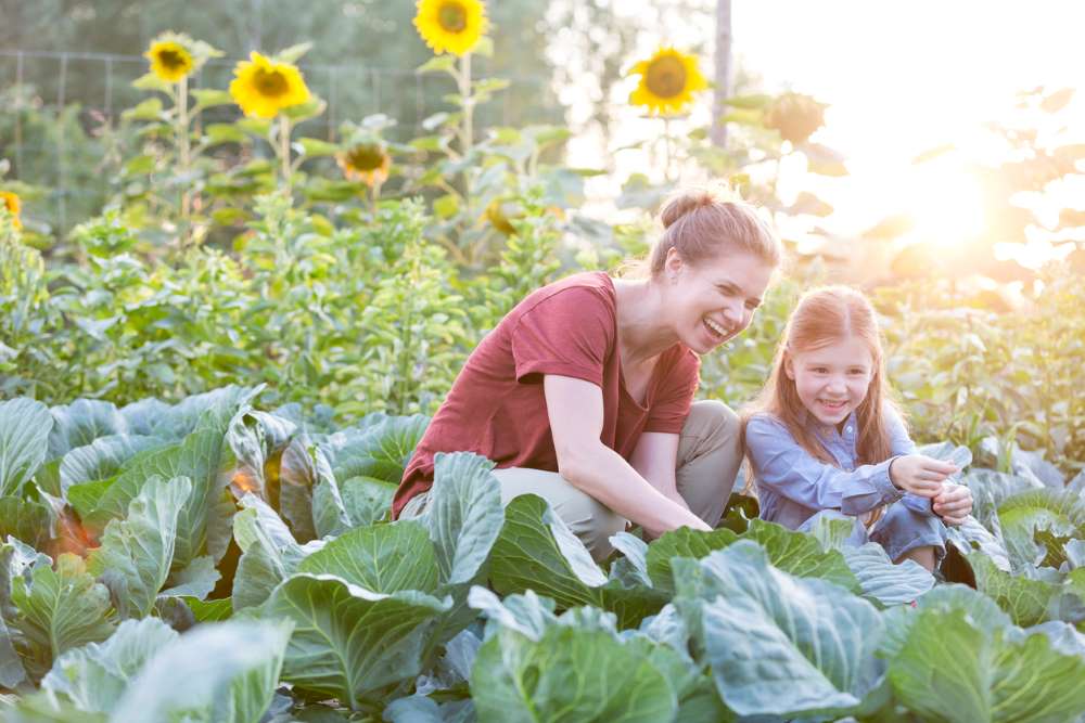 How to get your kid involved in gardening | Kids in the House